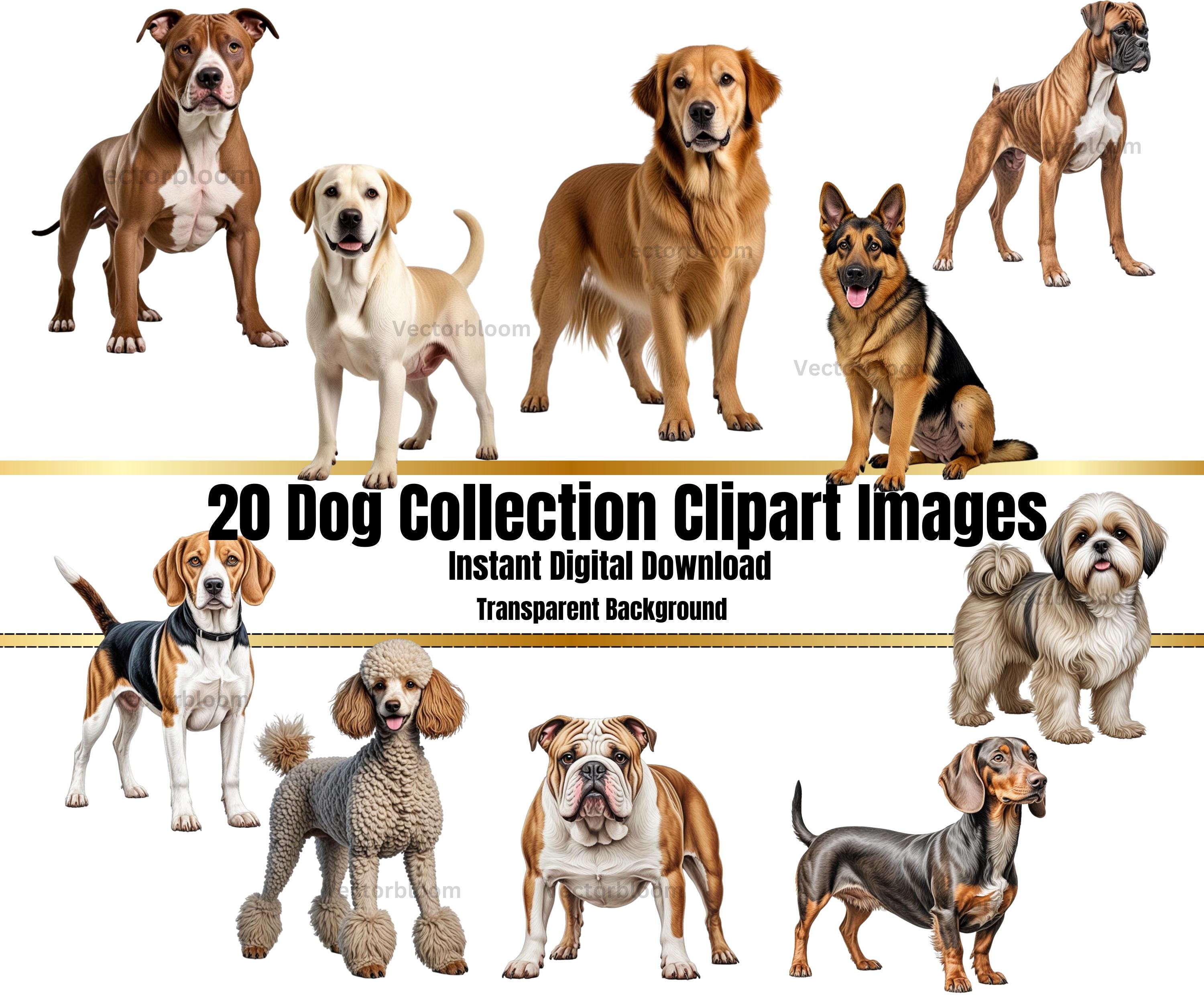 Dog Breed Clipart: 20 Adorable Illustrations (digital Download) - Etsy