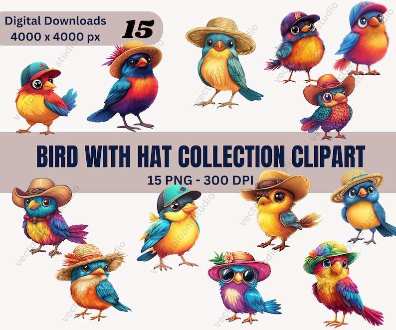 15 Watercolor PNG Bird Clipart, Bird With Hat, Funny Bird Clipart ...