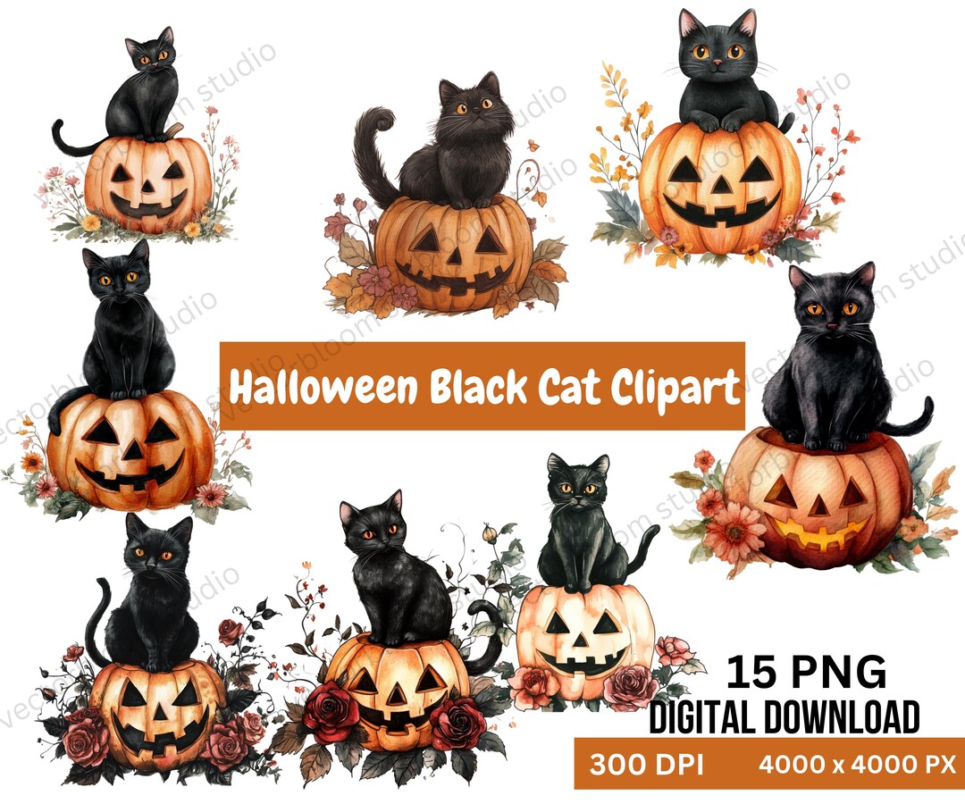 Watercolor Halloween Black Cat Clipart on Pumpkin, 15 PNG Watercolor ...