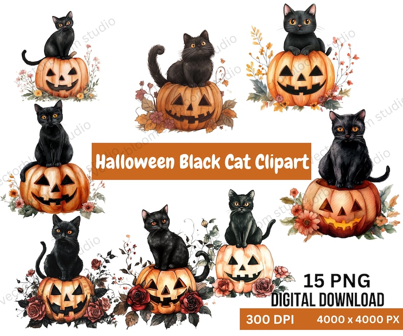 Watercolor Halloween Black Cat Clipart: Pumpkin PNG Bundle (commercial ...