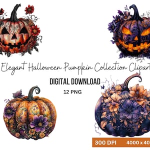 Enchanted Halloween Pumpkin Clipart Bundle, 12 Png, Instant Download ...