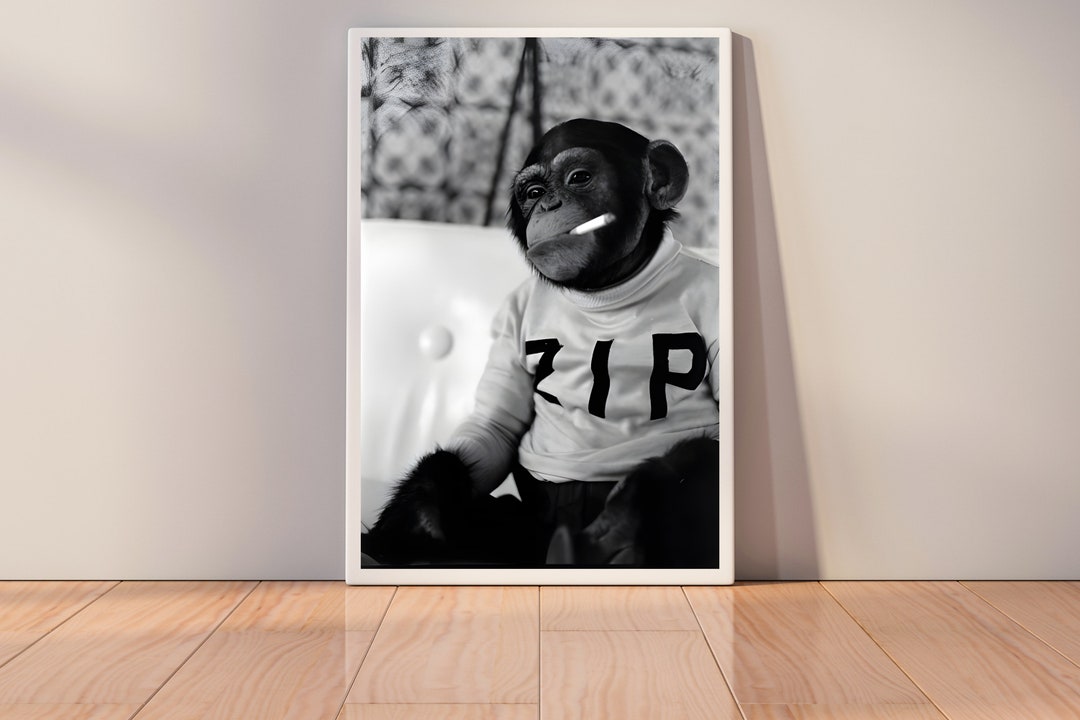 Funny Monkey Poster Quirky Animal Wall Art Humorous Retro Chimpanzee ...