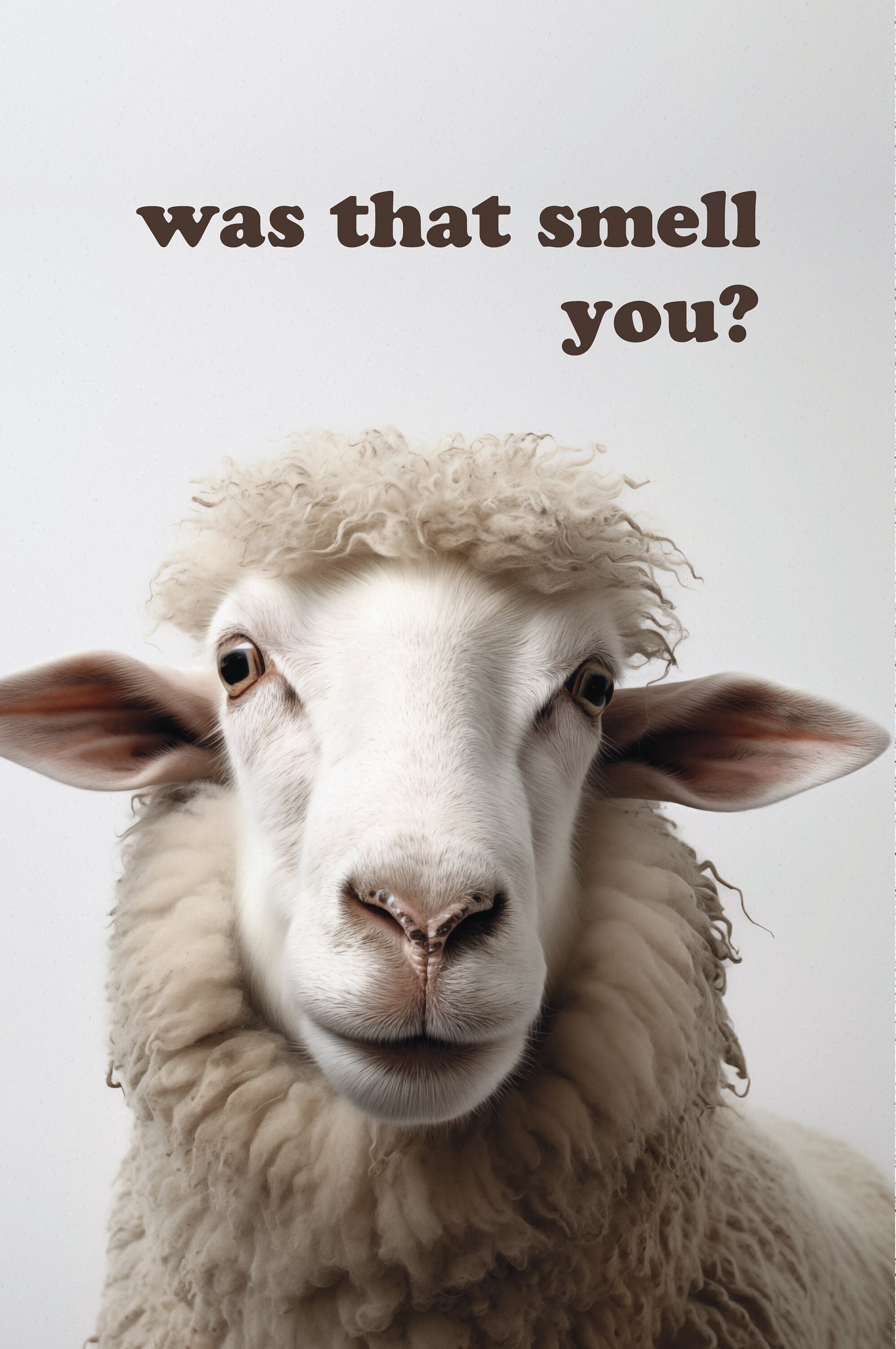 Toilet Cloakroom Wall Art, Funny Bathroom Print, Sheep Saying Was That ...