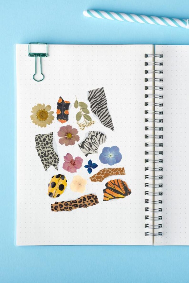 Nature Themed Sticker Sheet for Scrapbooking - Animal Print & Dry ...