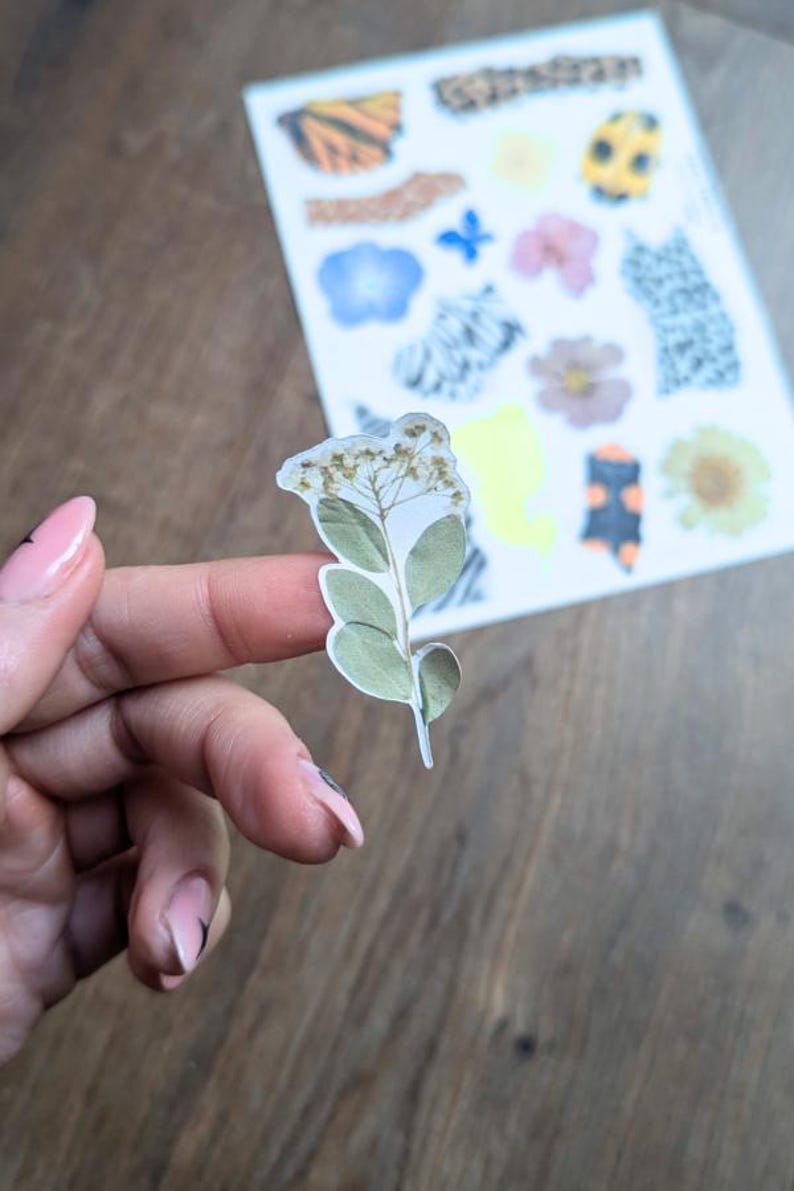 Nature Themed Sticker Sheet for Scrapbooking - Animal Print & Dry ...