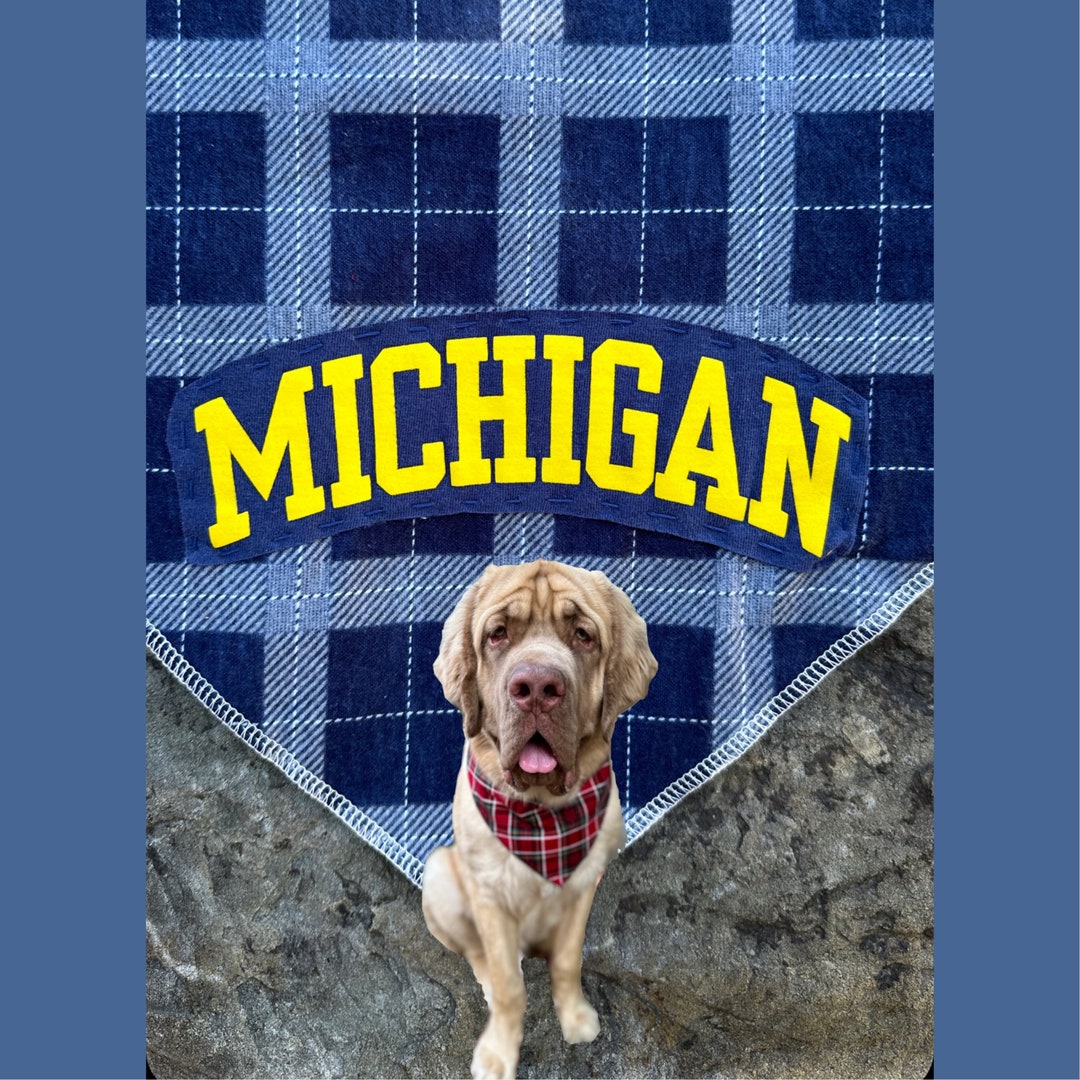University of Michigan Wolverines Scrunchie Style Dog Bandana. ONE OF A ...
