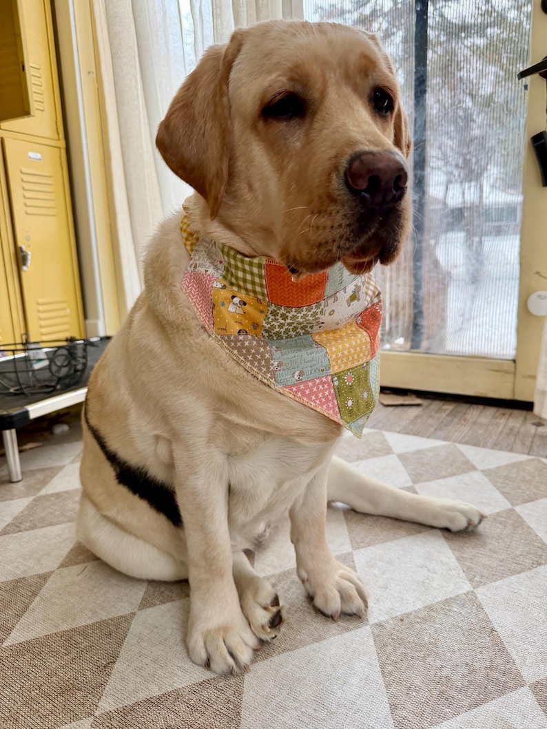 Puppy Patchwork Yellow Reversible Bandana 18”-24” - Etsy