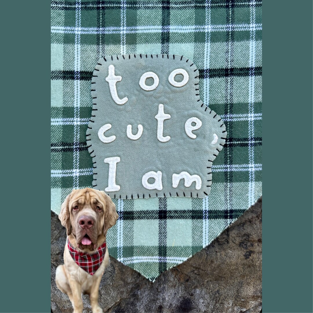 Grogu Baby Yoda Star Wars altered Hoodie Scrunchie-style Dog Bandana ...
