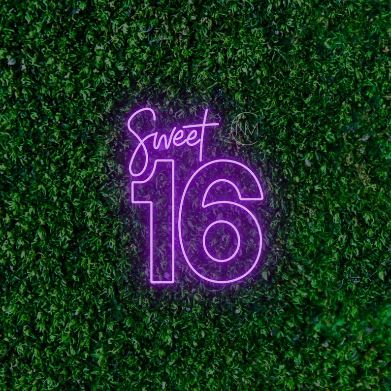 Sweet 16 Custom Neon Sign Birthday Decor / LED Lights Sign for Sweet 16 ...