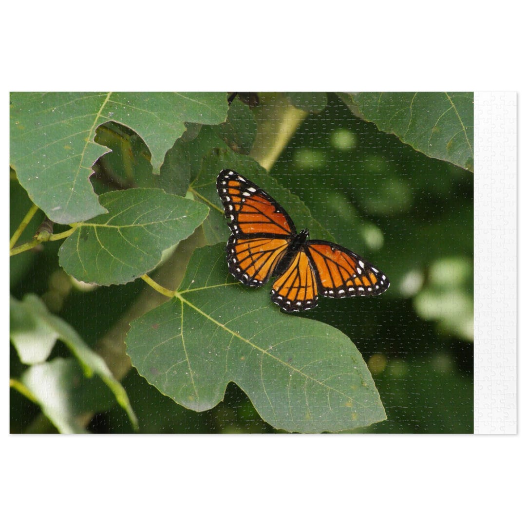Monarch Butterfly Nature Photography Jigsaw Puzzle (1000 Piece) – Vivid ...