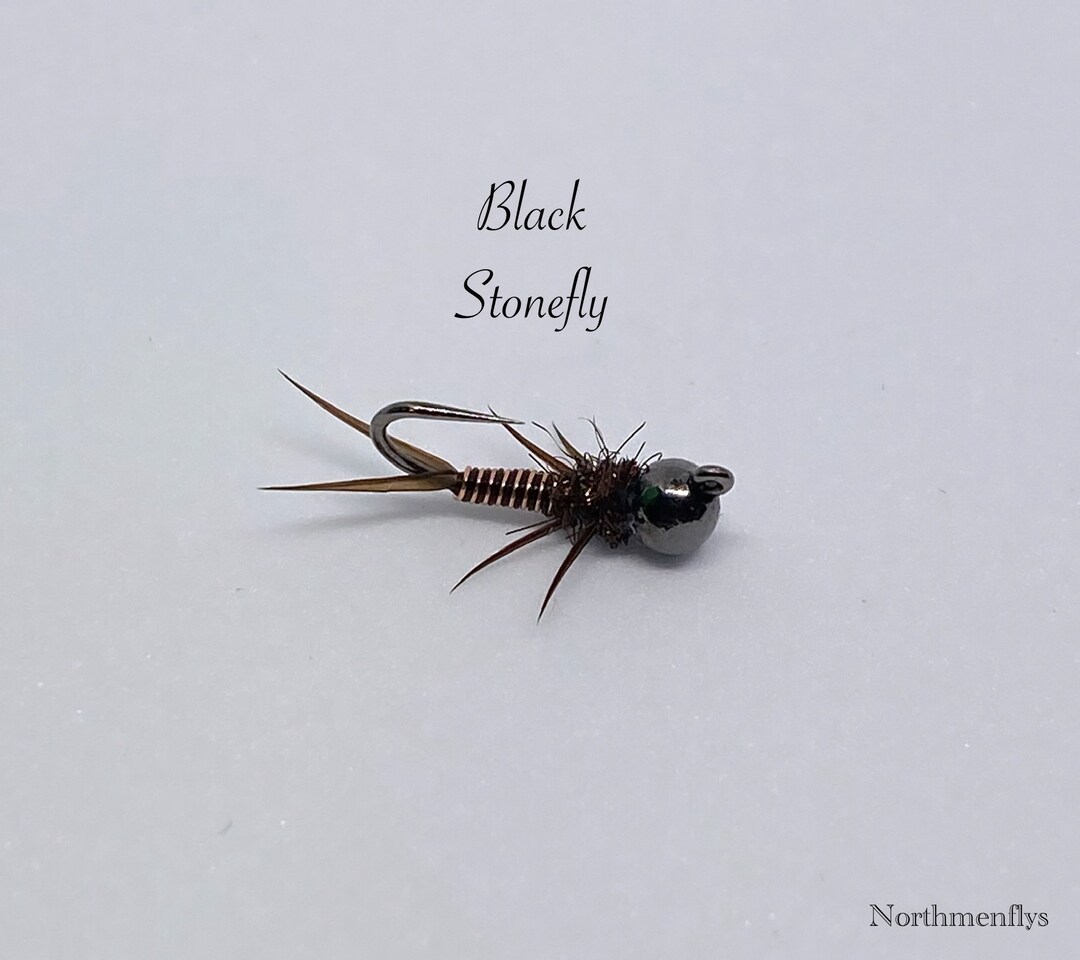 Stonefly Nymph, 3-pack. FREE Random Fly per Order. Tungsten. Fly ...