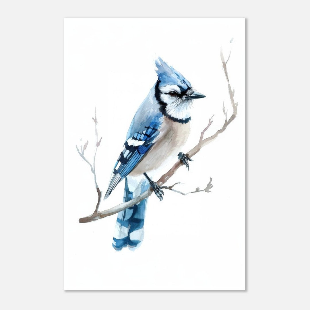 Blue Jay Watercolor Print Bird Painting Modern Home Decor Farmhouse ...