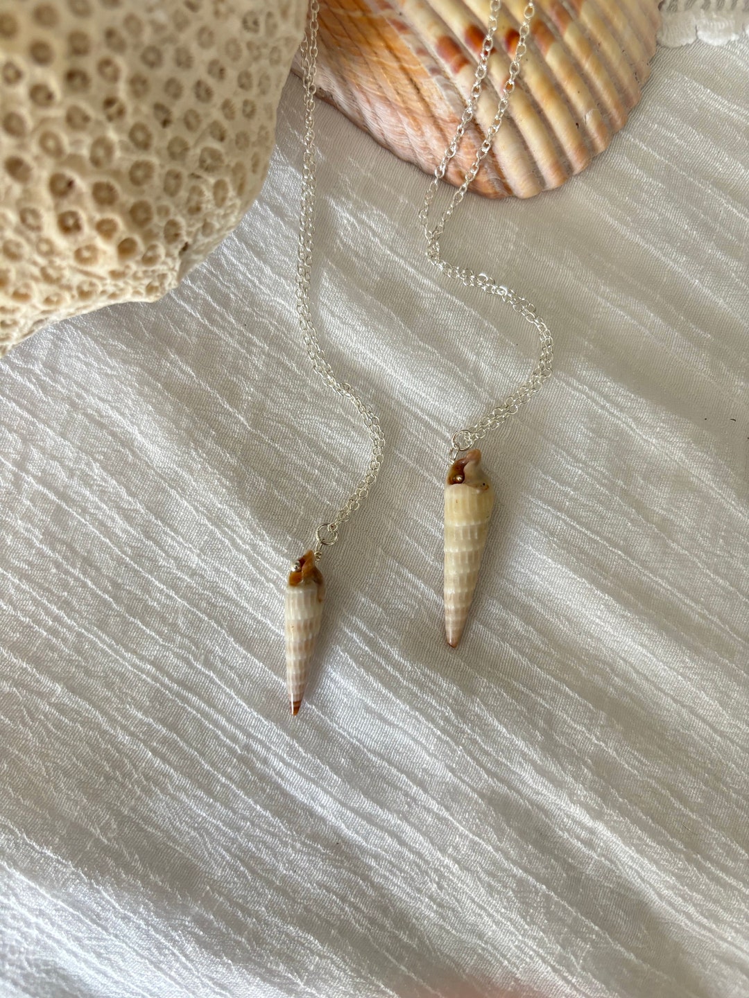 Real Sea Shell Necklace, Minimalist Jewelry, Gift for Her, Ocean ...