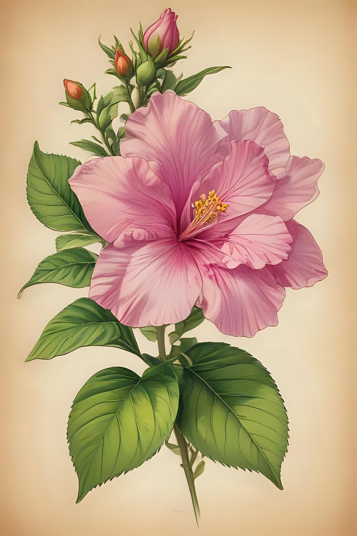 Rose of Sharon - Etsy