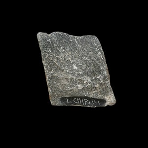 RARE OWL SCULPTURE Tendai Chipiri Hand-carved Black Serpentine Owl ...