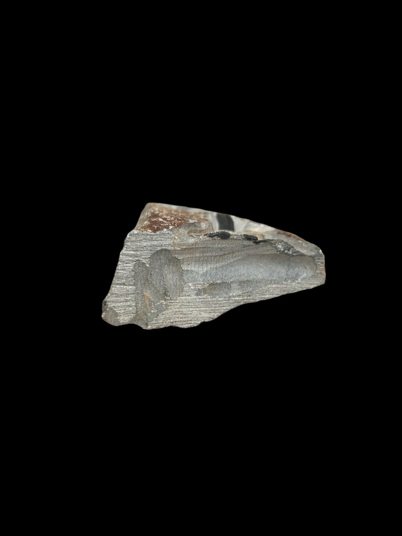 RARE OWL SCULPTURE Tendai Chipiri Hand-carved Black Serpentine Owl ...