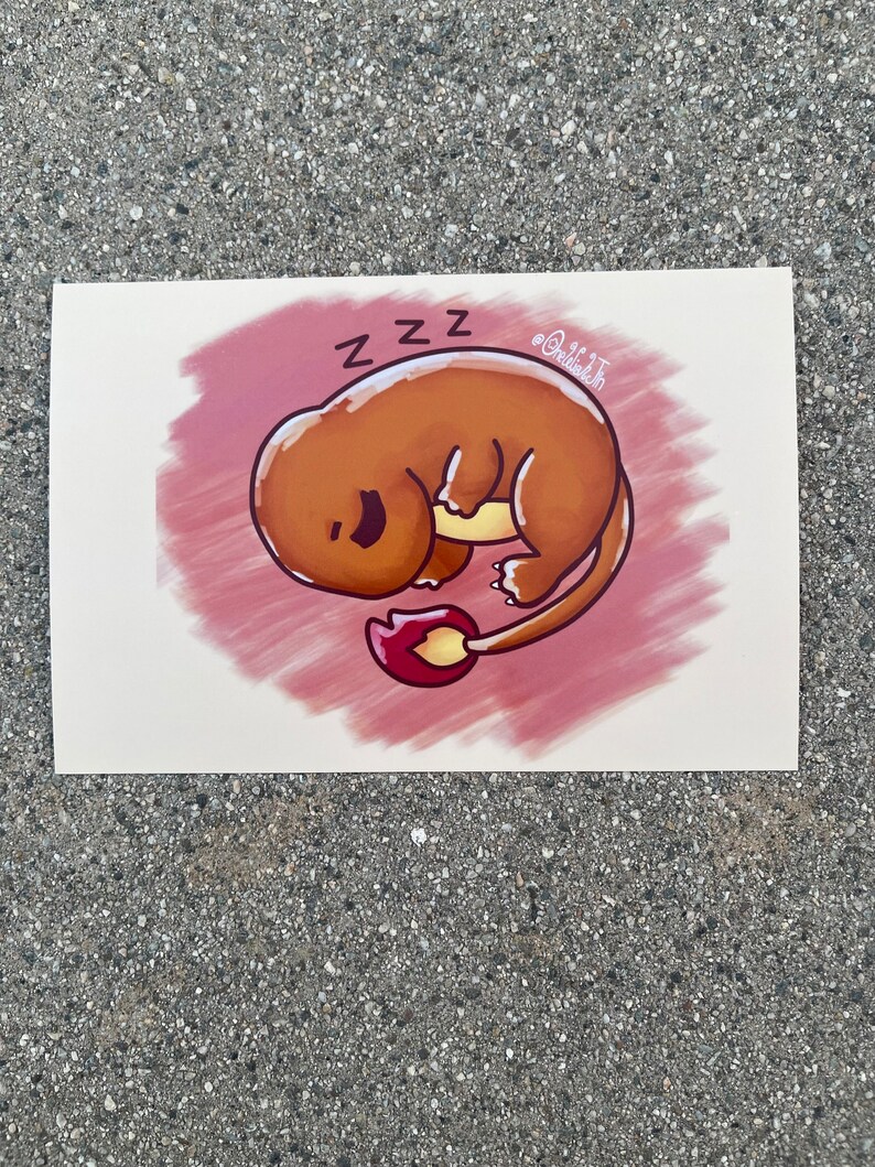 Pokemon Sleepy Bulbasaur Squirtle Charmander Art Prints 4 X 4 Small ...