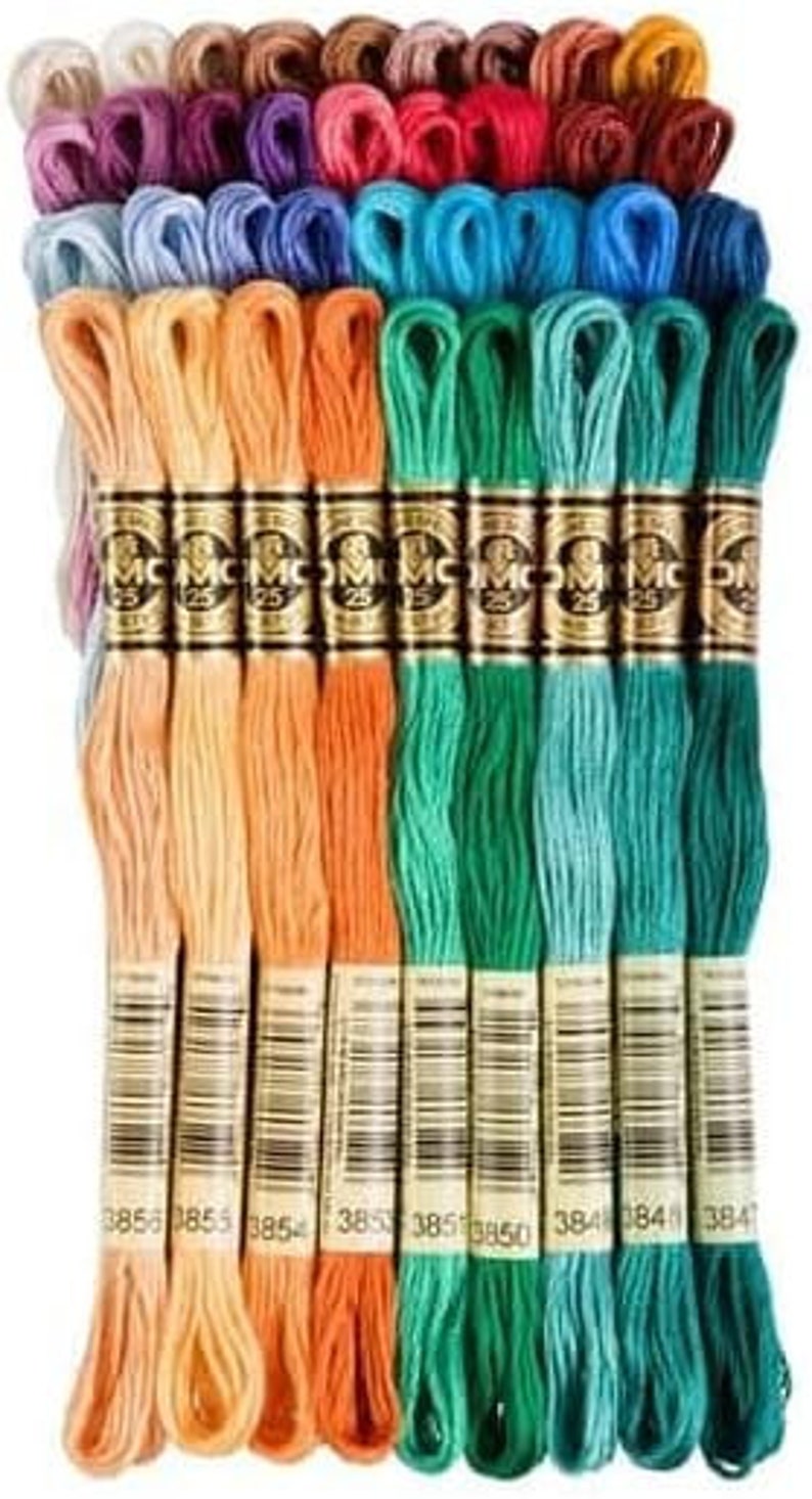 DMC Anniversary Embroidery Floss Collector's Edition 36 Skeins - Etsy