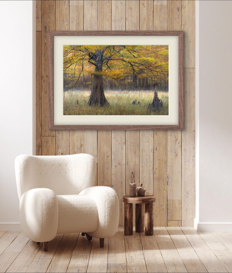 Southern Rustic Nature Wall Art Print / Cypress Tree / Autumn / Fall ...