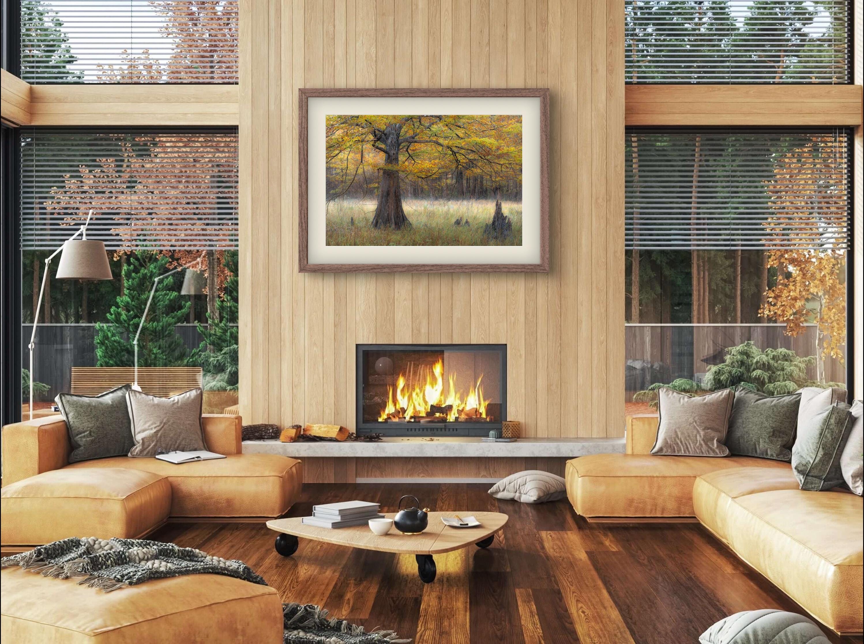 Southern Rustic Nature Wall Art Print / Cypress Tree / Autumn / Fall ...