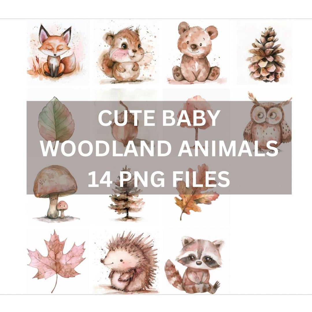 Baby Woodland Animals Clipart Bundle: Nursery Art PNG (digital Download ...
