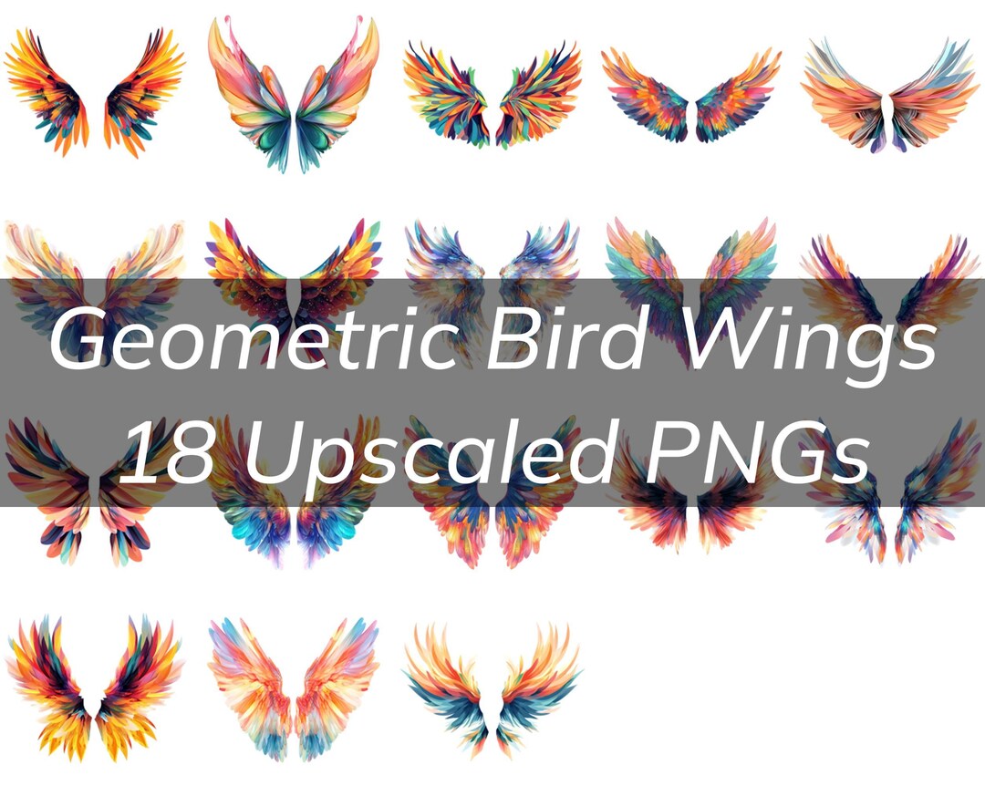 Vibrant Geometric Bird Wings Clipart Bundle PNG for Creative Projects ...