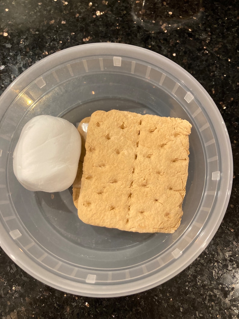 Campfire S'mores - Etsy