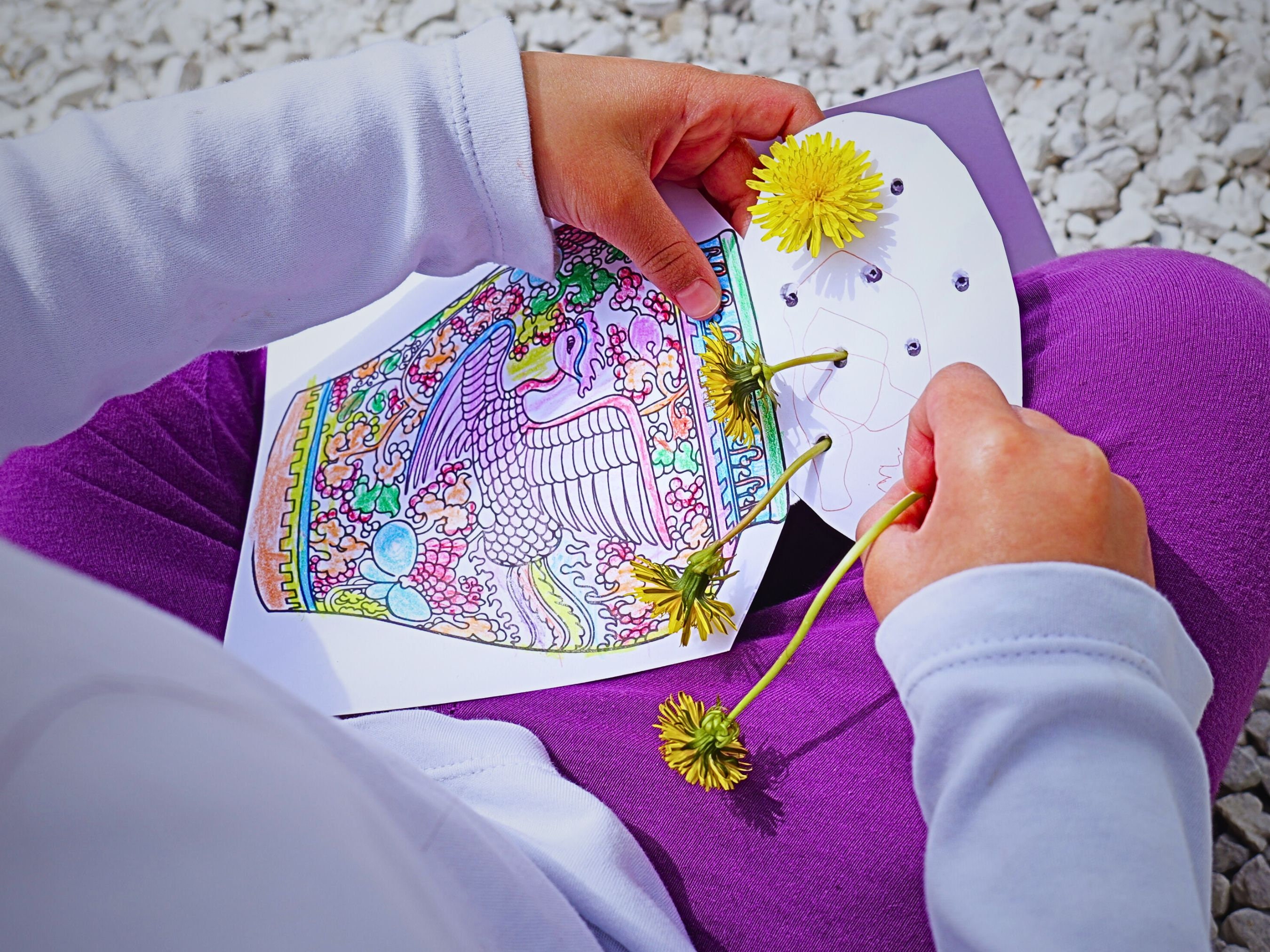 5 Printable Flower Cards, Appreciation Cards, DIY Print and Color ...