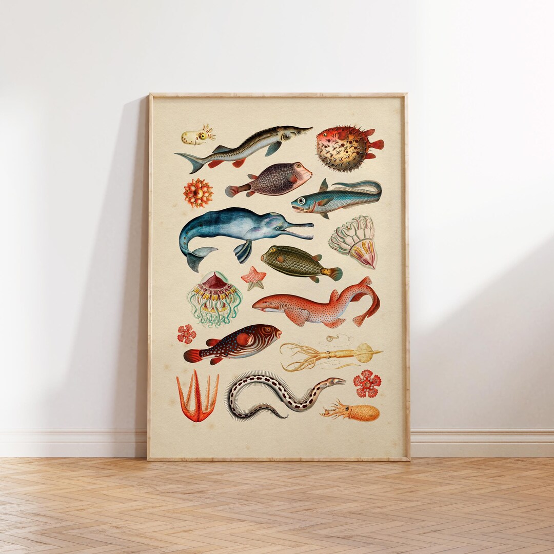 Sea Creatures Illustration Poster, Antique Sea Creatures Art Print ...