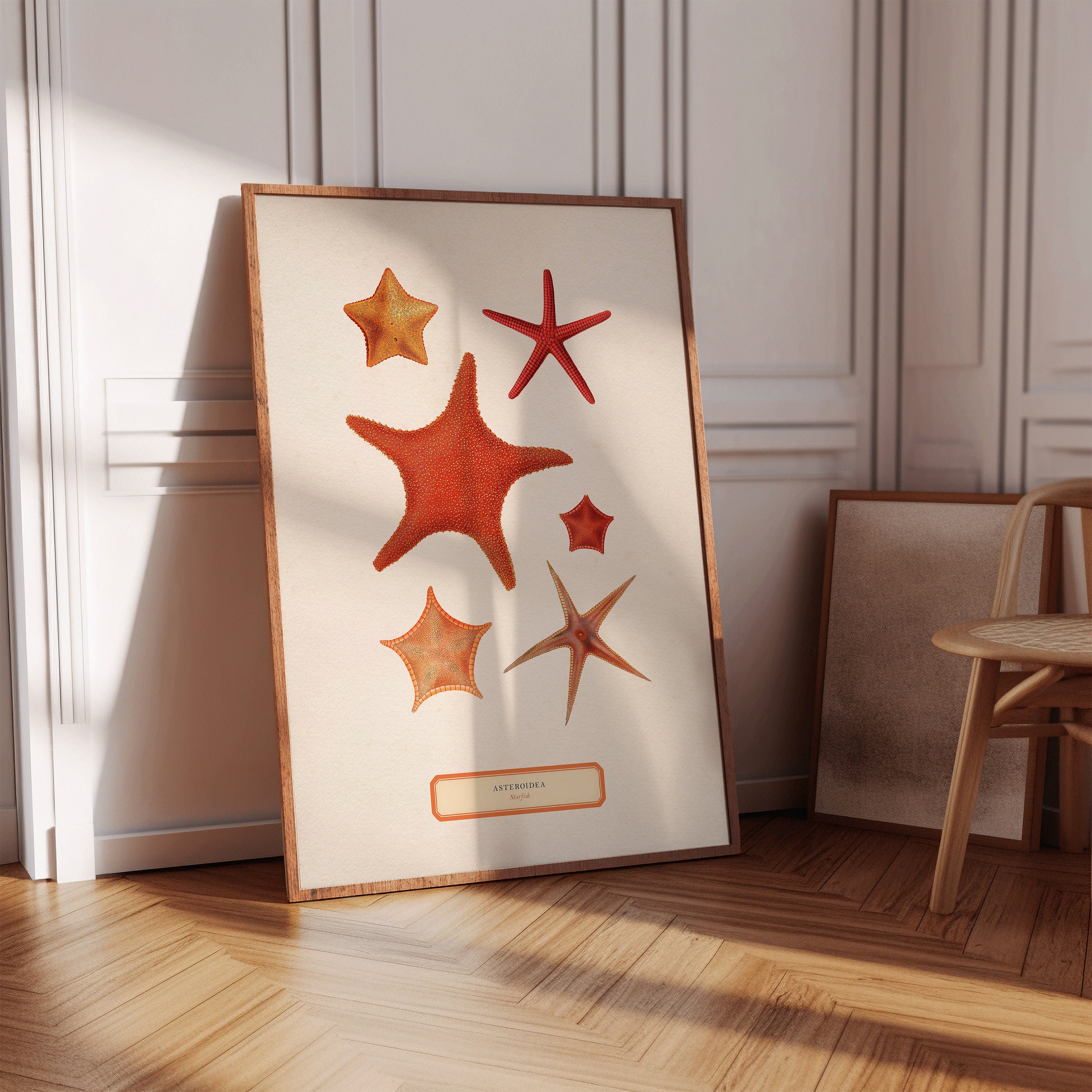 Starfish Illustration Poster, Antique Starfish Art Print, Vintage ...