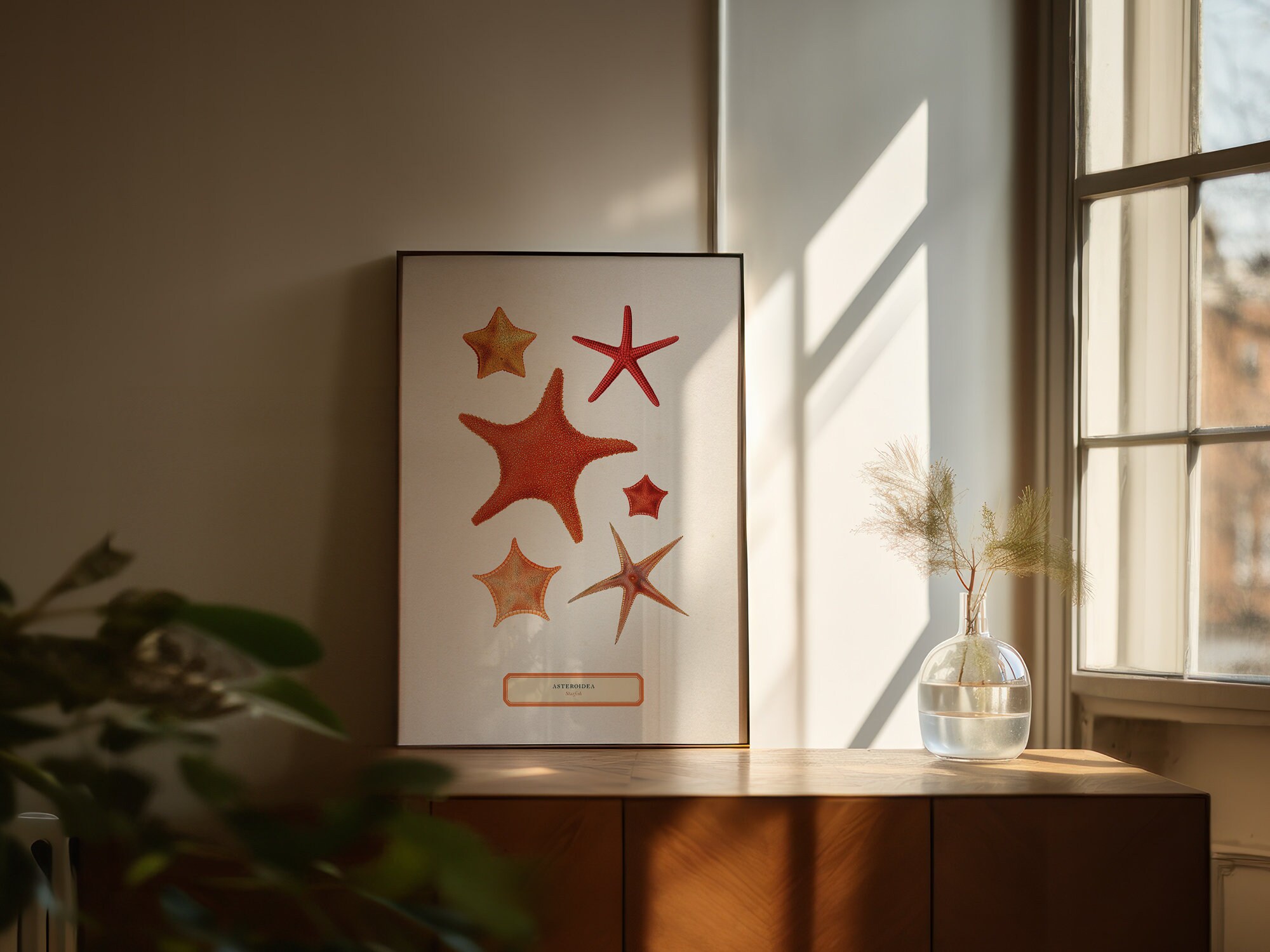 Starfish Illustration Poster, Antique Starfish Art Print, Vintage ...