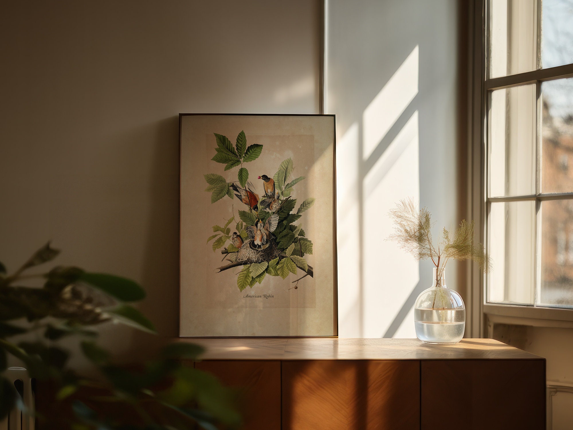 Vintage American Robin Illustration Poster, Antique American Robin Art ...