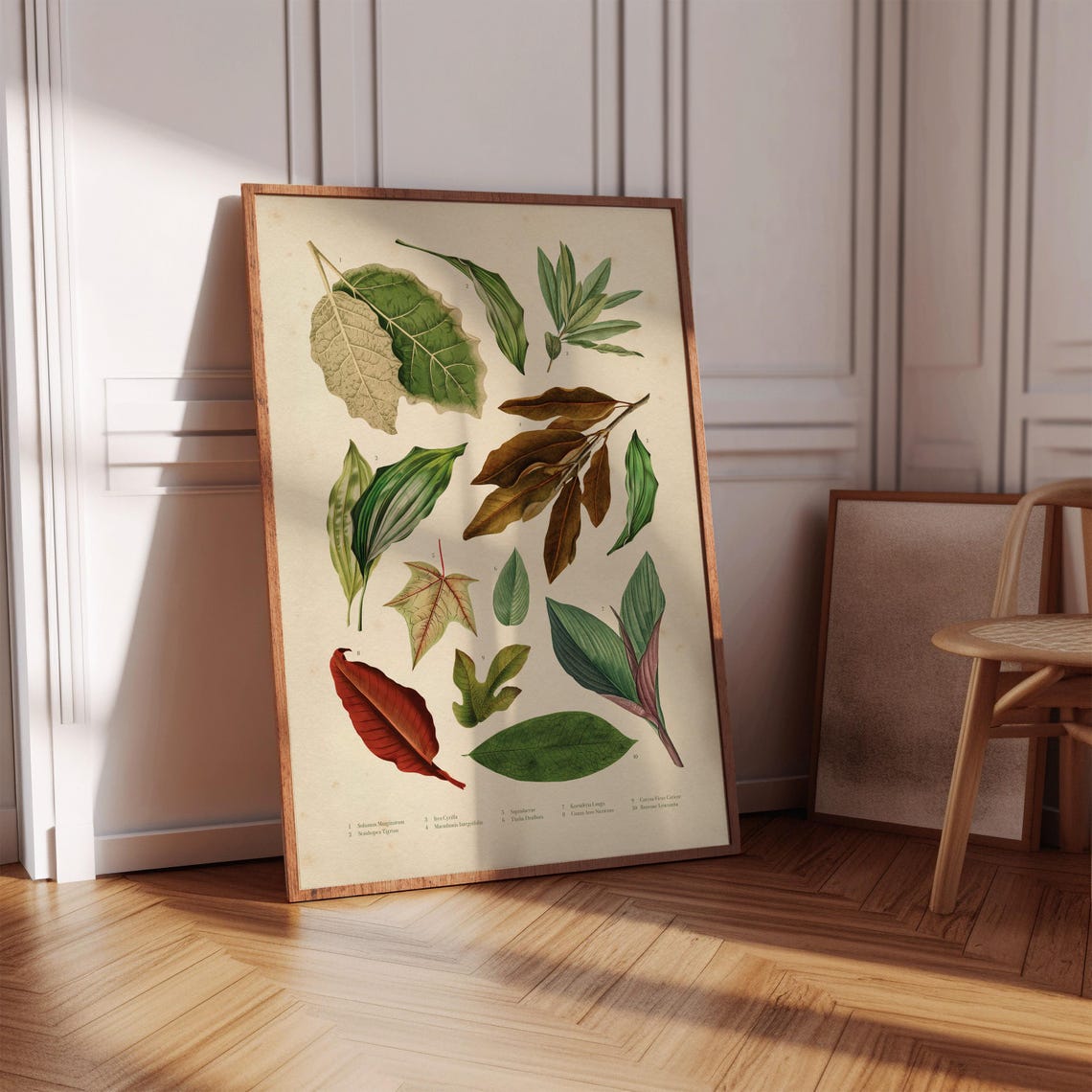 Vintage Leaves Illustration Poster Digital Download Solanum Marginatum ...
