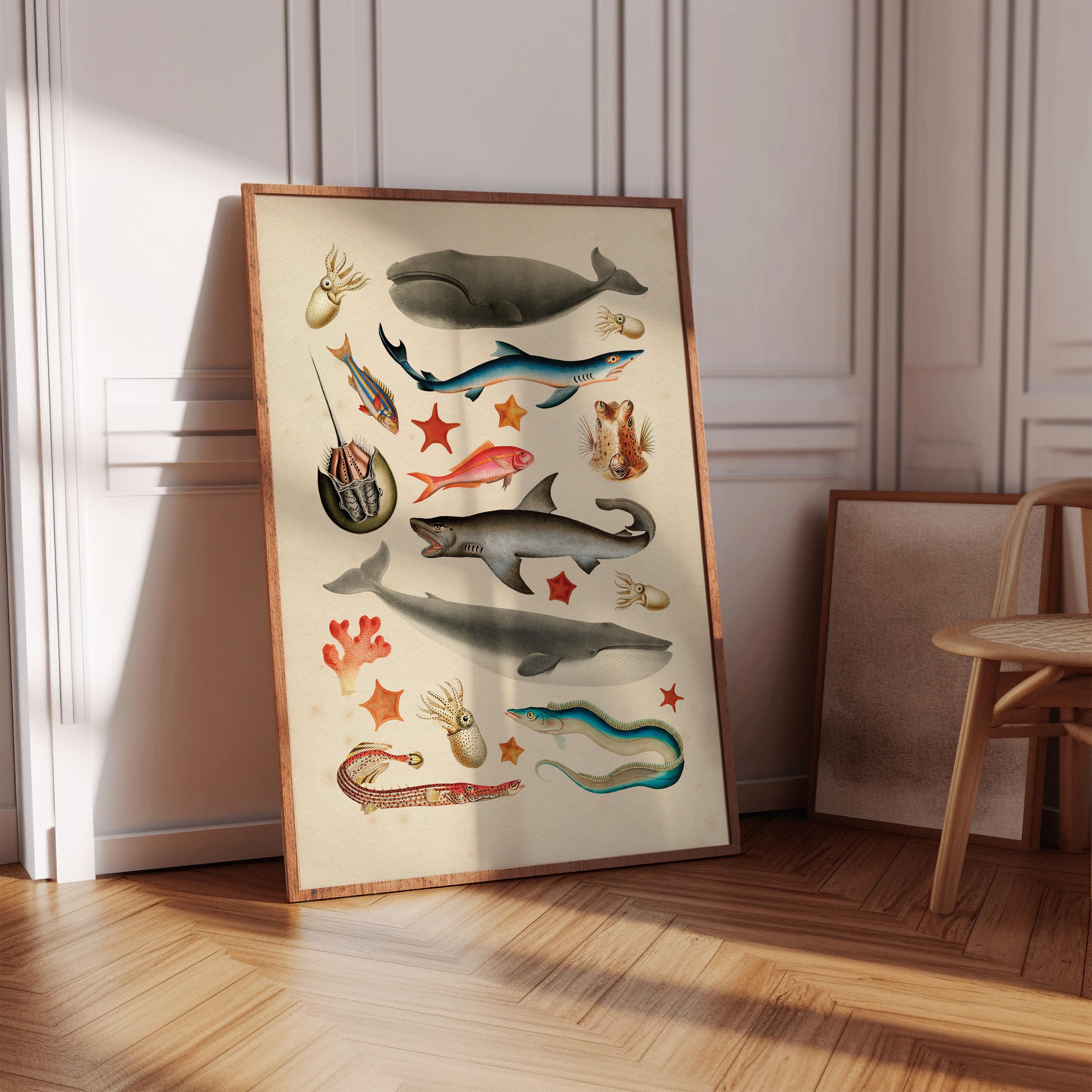 Sea Creatures Illustration Poster, Antique Sea Creatures Art Print ...