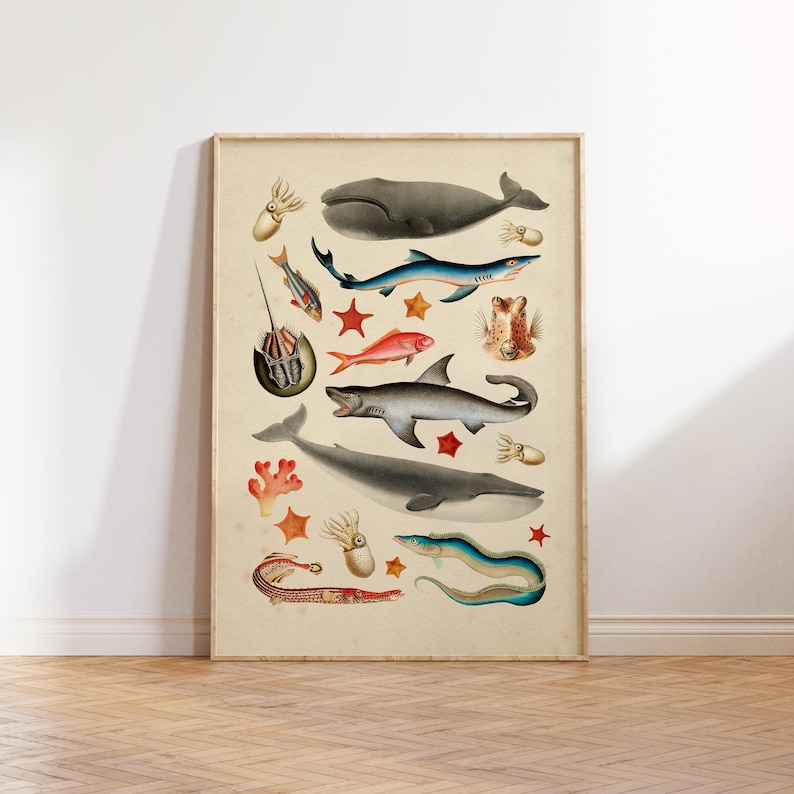 Sea Creatures Illustration Poster, Antique Sea Creatures Art Print ...