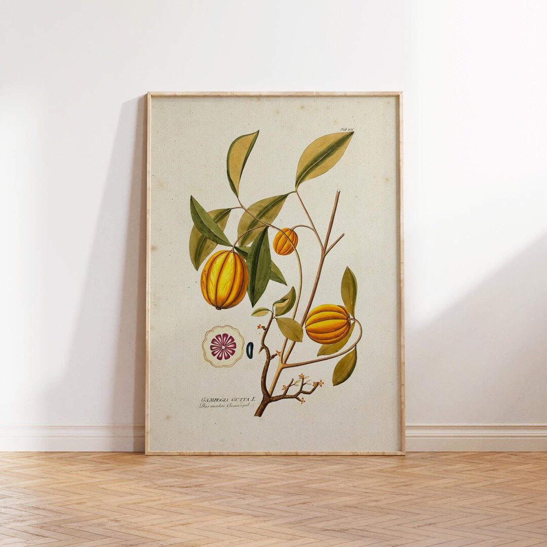 Vintage Brindleberry Illustration Poster, Antique Brindleberry Art ...