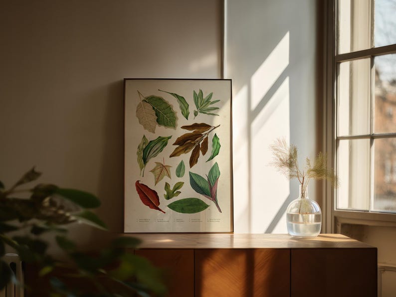 Vintage Leaves Illustration Poster Digital Download Solanum Marginatum ...