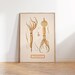 Emperor Squid Illustration Poster, Antique Emperor Squid Art Print ...