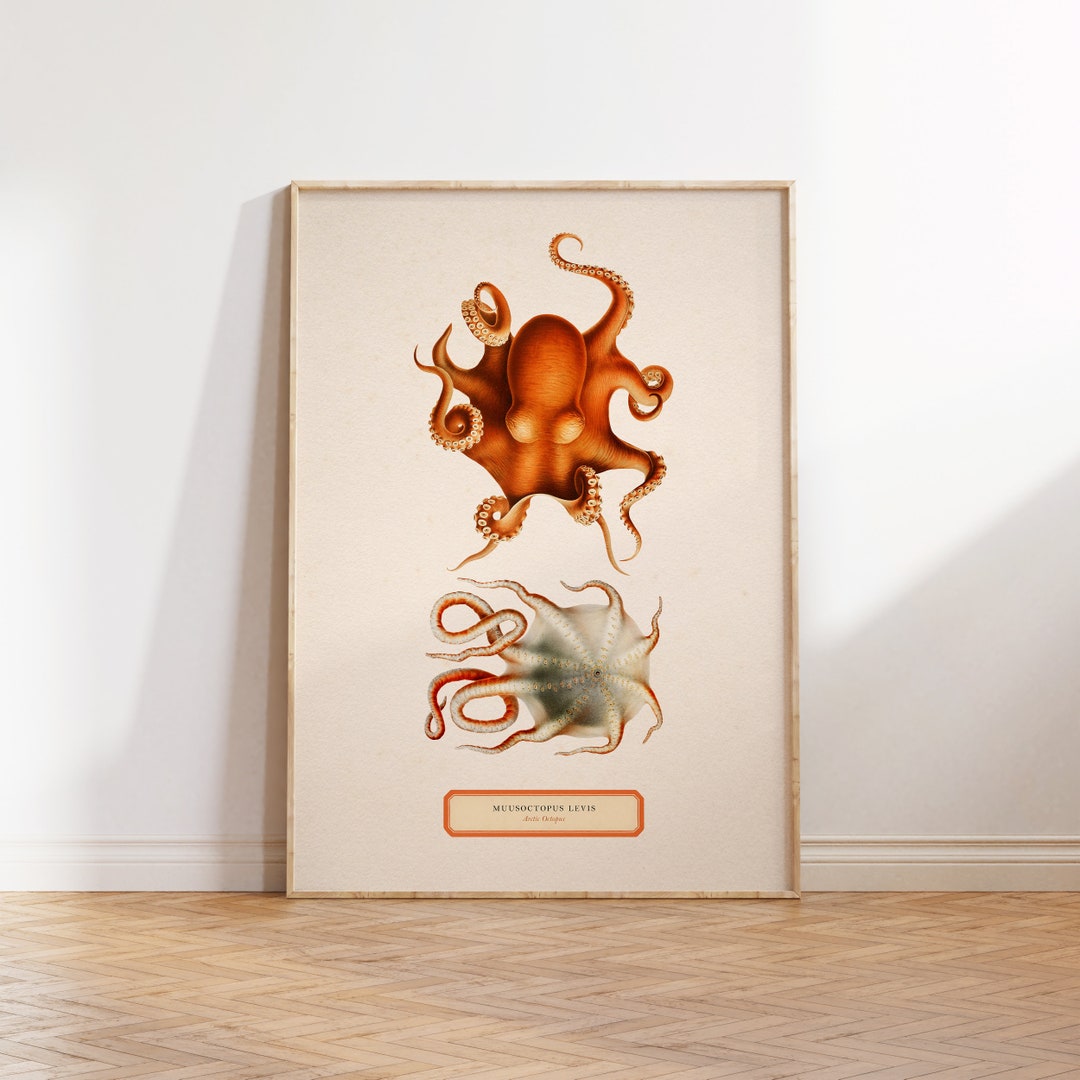 Arctic Octopus Illustration Poster, Antique Arctic Octopus Art Print ...