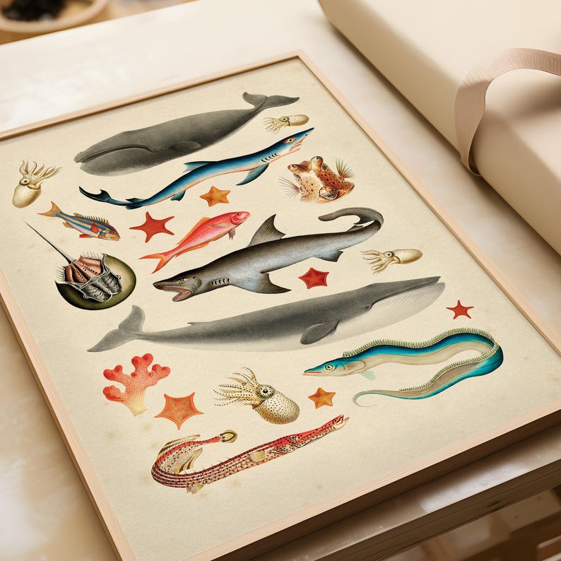 Sea Creatures Illustration Poster, Antique Sea Creatures Art Print ...