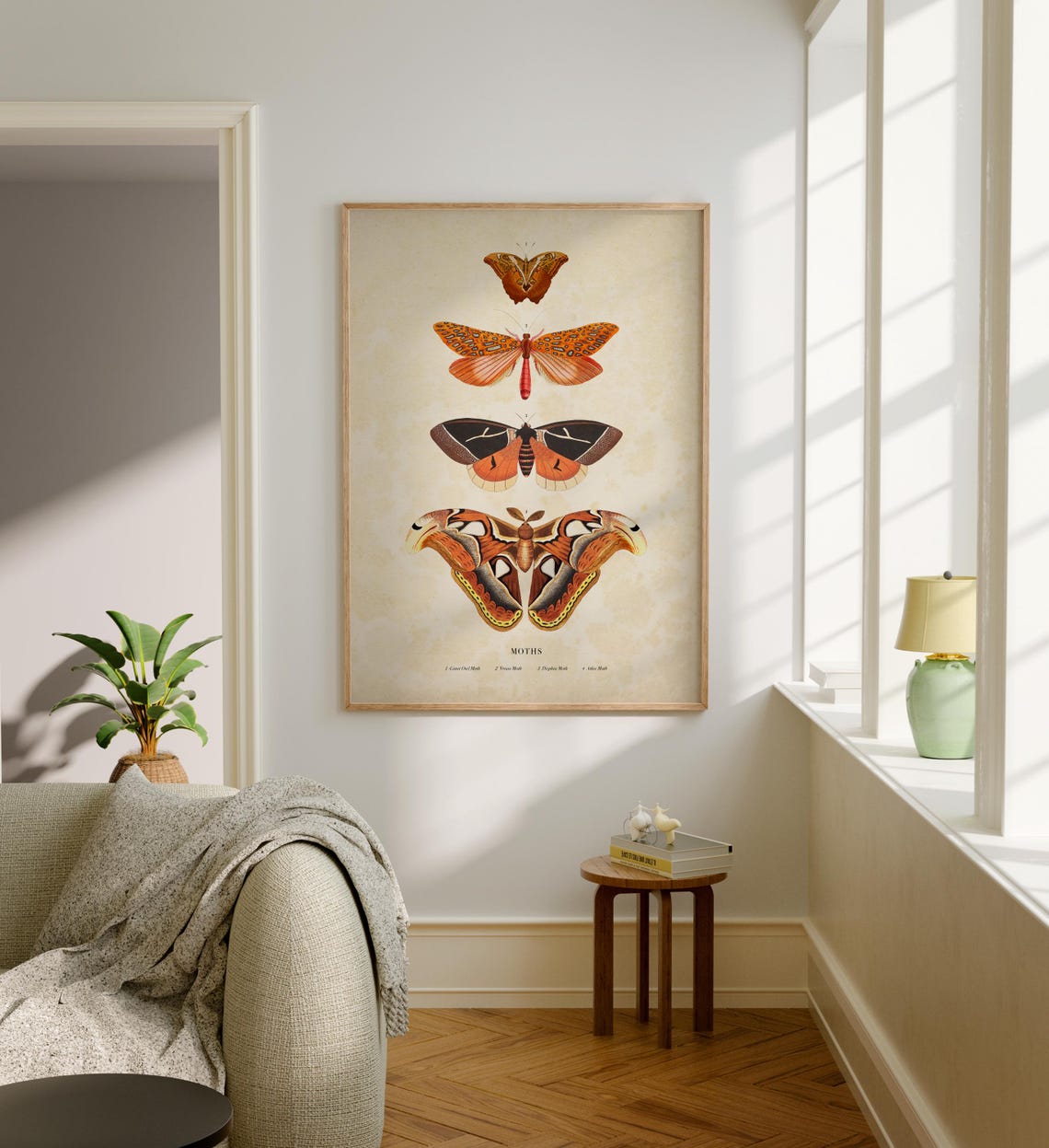 Moths Illustration Poster Download, Antique Moths Art Print, Vintage ...
