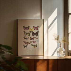 Butterflies Illustration Poster, Antique Butterflies Art Print, Vintage ...