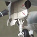 Papercraft Kit E-2 Hawkeye Airplane 3d Paper Model Crafting Kit PDF ...