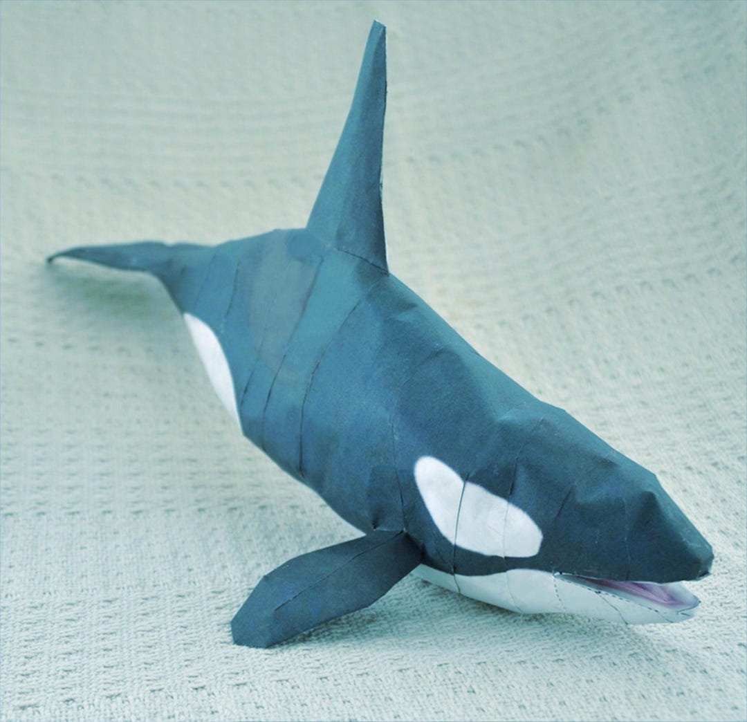 Papercraft Kit Orca Whale 3d Paper Model Crafting Kit PDF Plans to ...