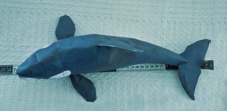 Papercraft Kit Orca Whale 3d Paper Model Crafting Kit PDF Plans to ...