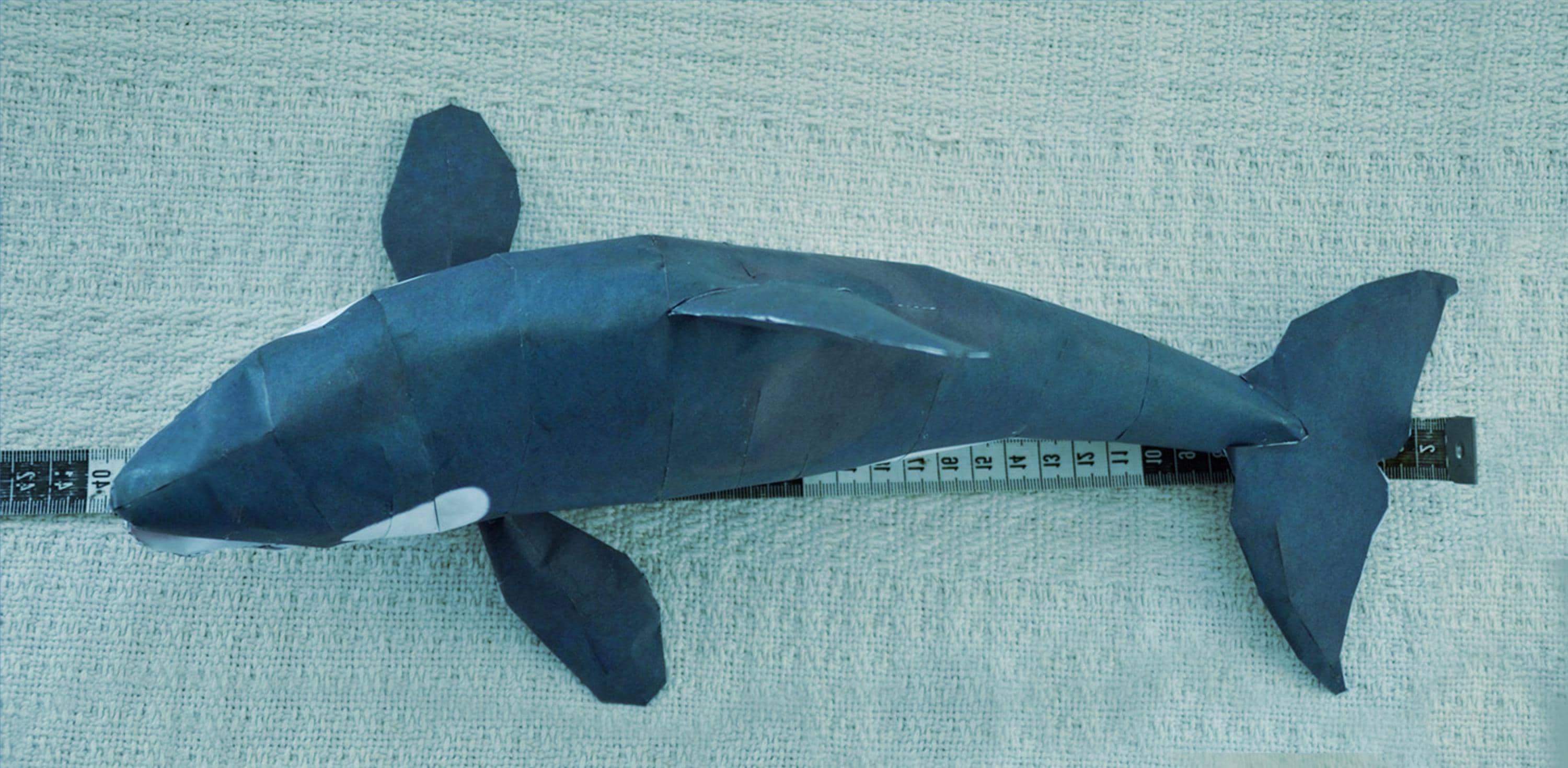 Papercraft Kit Orca Whale 3d Paper Model Crafting Kit PDF Plans to ...
