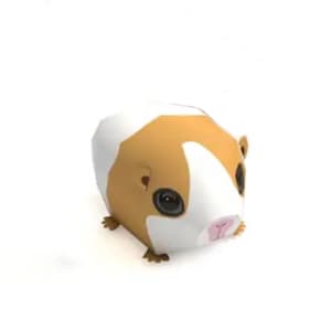 Papercraft Kit Guinea Pig 3d Paper Model Crafting Kit PDF Plans to ...