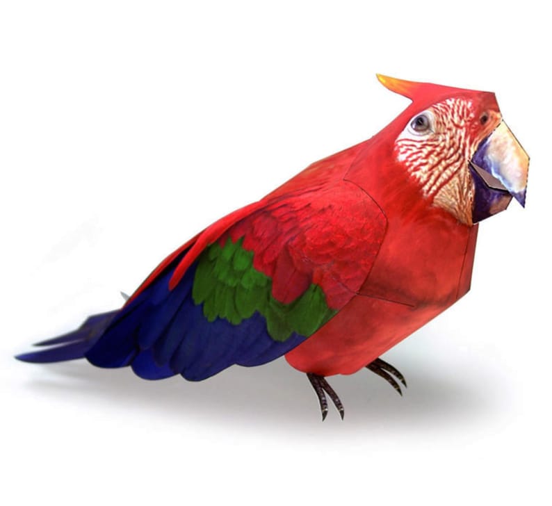 Papercraft Kit Parrot Paper Model Crafting PDF Plans DIY Template - Etsy