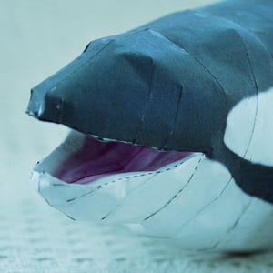 Papercraft Kit Orca Whale 3d Paper Model Crafting Kit PDF Plans to ...
