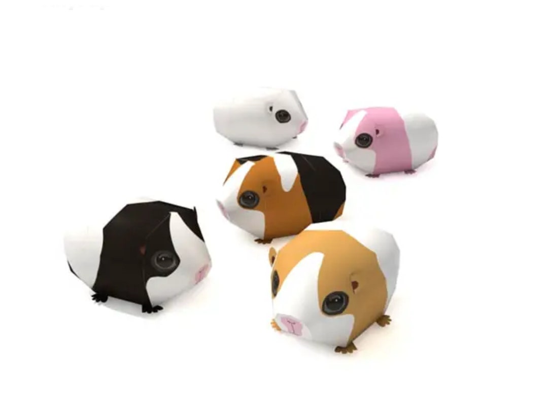 Papercraft Kit Guinea Pig 3d Paper Model Crafting Kit PDF Plans to ...